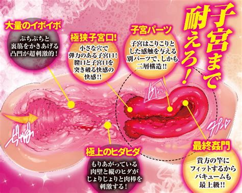 子宮姦通 2 370円 ダッチワイフ専門店 エアドル