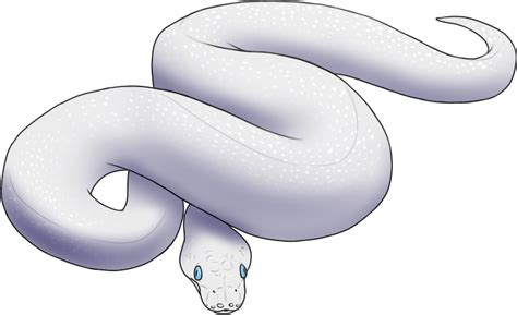 blue eyed leucistic ball python by amarian archives on