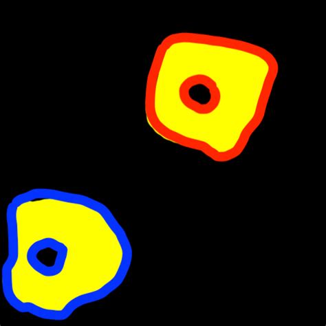 python how to obtain boundary coordinates of binary mask with holes
