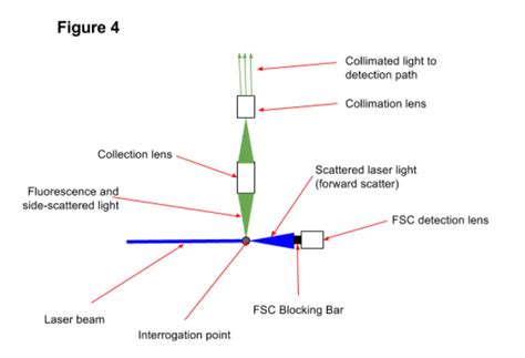 How Flow Cytometry Optical System Components Work Cheeky Scientist