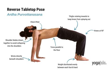Purvottanasana Anatomy