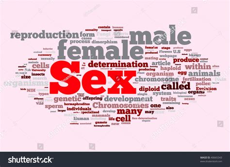 Sex Word Cloud Illustration Graphic Tag Stock Vector Royalty Free