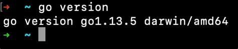 how to install go on mac os golang docs