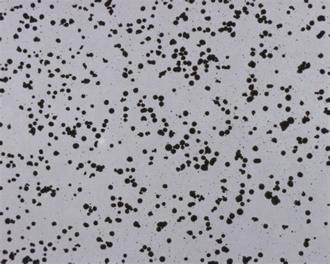 python segmentation of small particles using watershed and distance
