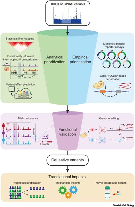 Decoding Polygenic Diseases Advances In Noncoding Variant