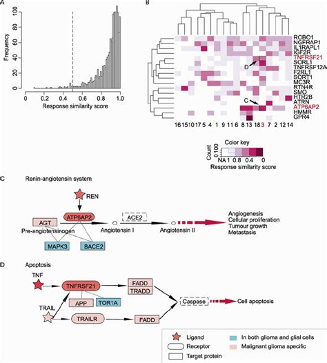 Cancer Specific Response Patterns A The Histogram Showed The