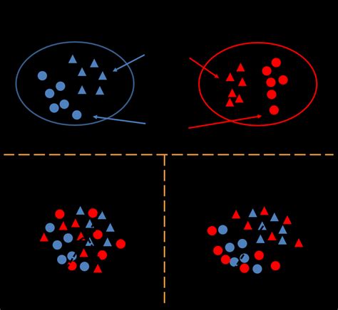The Illustration Of Discriminative Domain Regularization Component