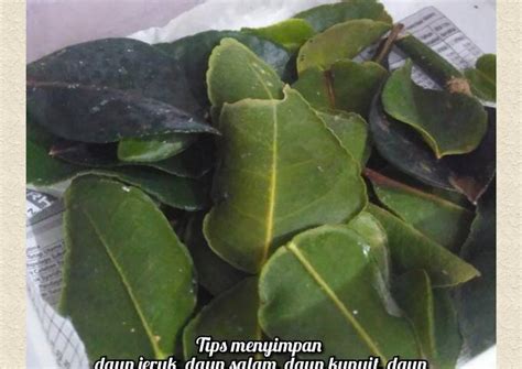 Resep Tips Menyimpan Daun Jeruk Daun Salam Daun Kari Dan Daun Kunyit