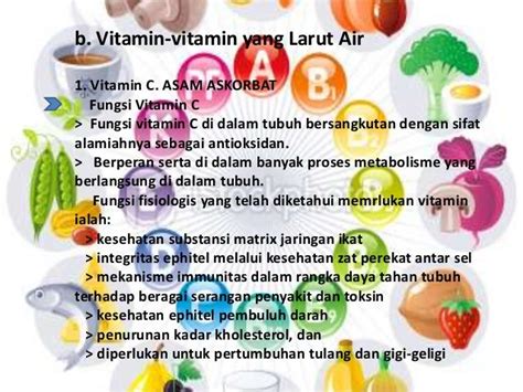 Fungsi Utama Vitamin Adalah Mengatur Proses Metabolisme Villager