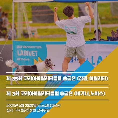 23 6 25 Kkf 코리아어질리티클럽 점어 비노 클럽전 승급 Korea Agility Magazine