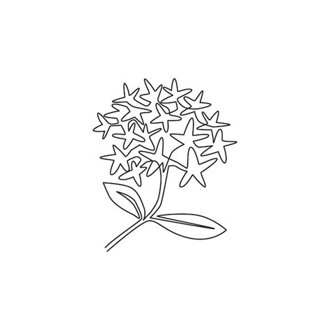 Premium Vector One Single Line Drawing Of Beauty Flowering Plants For