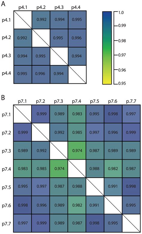 Correlation Matrices Displaying Pearsons Correlation Values For Scaled