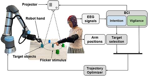 Frontiers Coordinating Human Robot Collaboration By Eeg Based Human