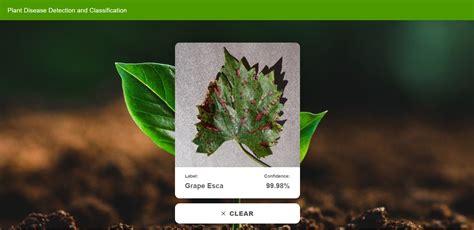 Github Ifradk Plant Disease Detection Using Cnn This Is A Web