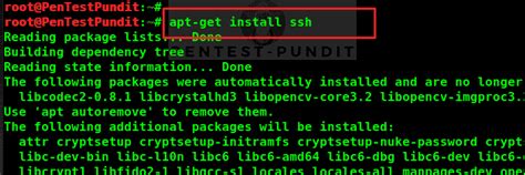 pentest pundit install and configure ssh service in kali