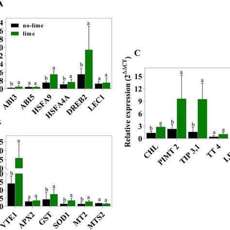 A Relative Expression Of Transcription Factors In The Embryonic