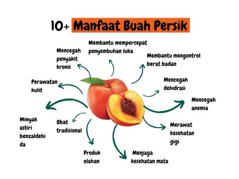 10 Manfaat Buah Persik Buah Dari Para Dewa Yang Lezat Dan Penuh Khasiat