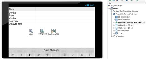 solved delphi deploying and accessing local files on android