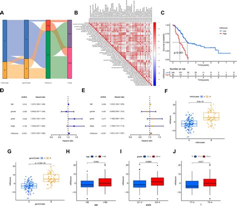 Construction Of M6sig Score And Explore The Relevance Of Clinical