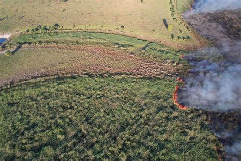 Combate A Incêndios Florestais Monitoramento E Ações Preventivas