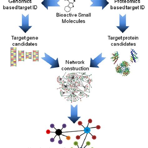Example Of Reverse Chemical Proteomics The Target Protein Of