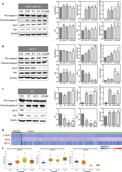 Reversine Induces Apoptosis By Modulating Capsase 3 And Bax Bcl 2 In