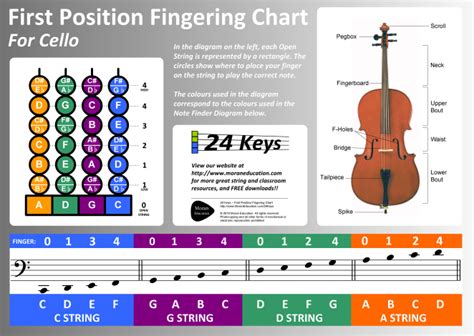 Cello Note And Positions Chart