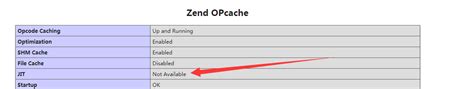 [php] php8 jit does not support 32 bit systems warning jit not