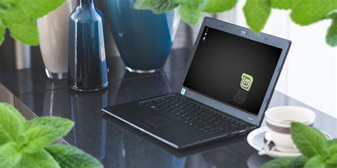 5 flavors of linux mint 18 you can try today