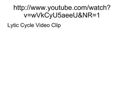07 Lytic Vs Lysogenic Cycle Ppt