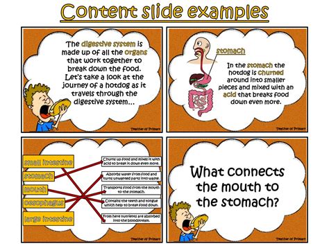 The Digestive System Powerpoint Presentation And Worksheets
