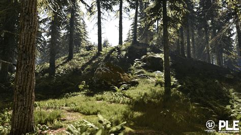 ple procedural landscape ecosystem in environments ue