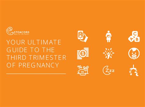Your Ultimate Guide To The Third Trimester Of Pregnancy Stemcord