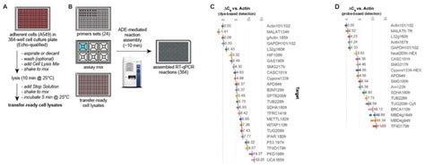 high throughput qpcr and rt qpcr workflows beckman coulter