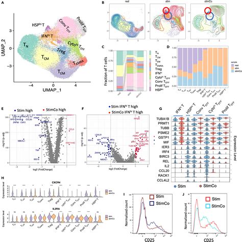 Exploring The Dynamics And Influencing Factors Of Cd4 T Cell Activation