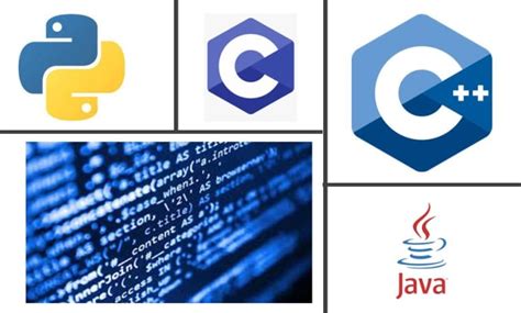 do python cpp java related tasks by aliraza9494 fiverr