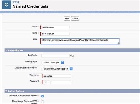 how to get salesforce to talk to craft cms solspace