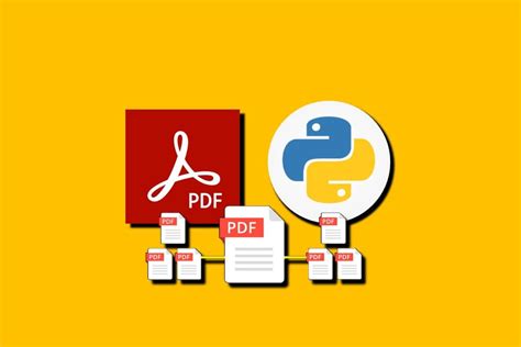 python pdf handling from beginner to winner skill success