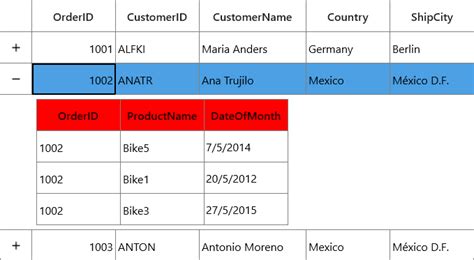 master details view in uwp datagrid control syncfusion