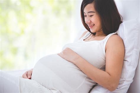 Fakta Fakta Trimester Kehamilan Yang Ibu Perlu Tahu Bukareview