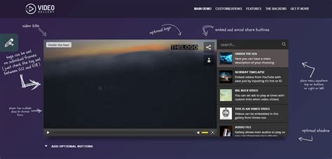 video hosting for wordpress options to choose themetrust