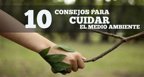 10 consejos para cuidar el medio ambiente catoliscopio