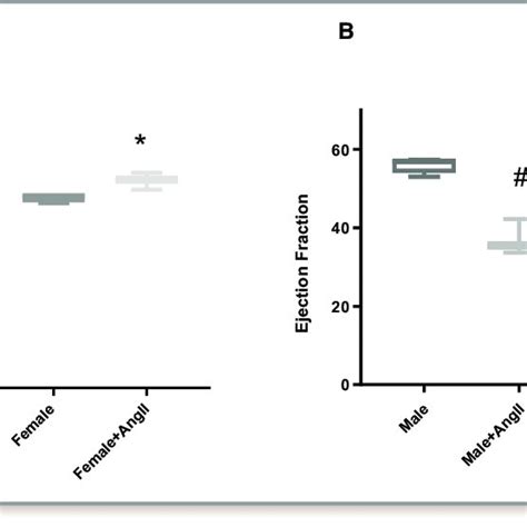 Sex Differences In Hypertrophy And Ejection Fraction Following 3 Weeks