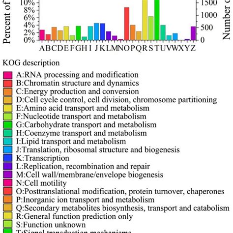 Sequence Length Distribution Of Transcripts And Unigenes For The Mantle