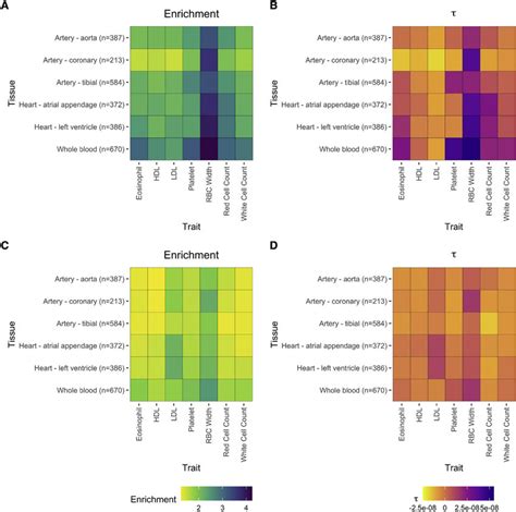 Heritability Enrichment And T Estimates For Degree Conditional On The