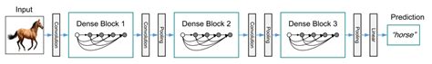 densenet architecture explained with pytorch implementation from