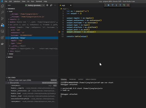 vscode development for sap cloud application programming model using