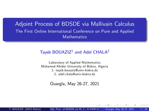 pdf adjoint process of backward doubly sde via mallivain calculus