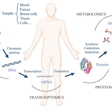 Main Omics Techniques Genomics Transcriptomics Proteomics And