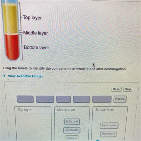 solved top layer middle layer bottom layer drag the labels